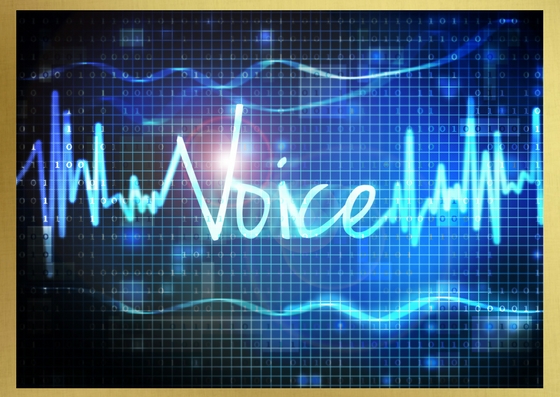 5-Week Reclaim Your Voice and Communicate Effectively Course ...